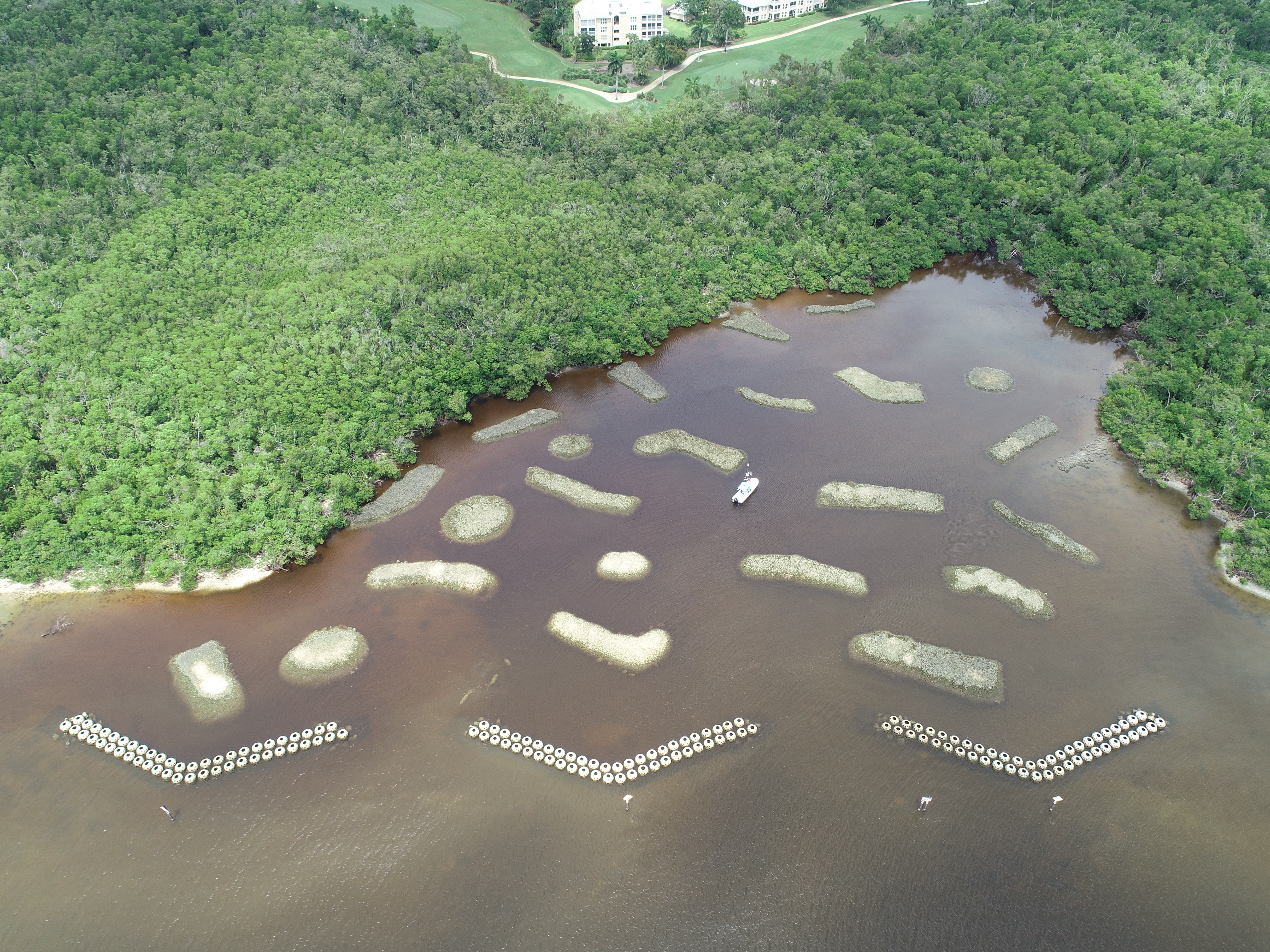 Restoring Oyster Reefs in Naples Bay | Naples, FL