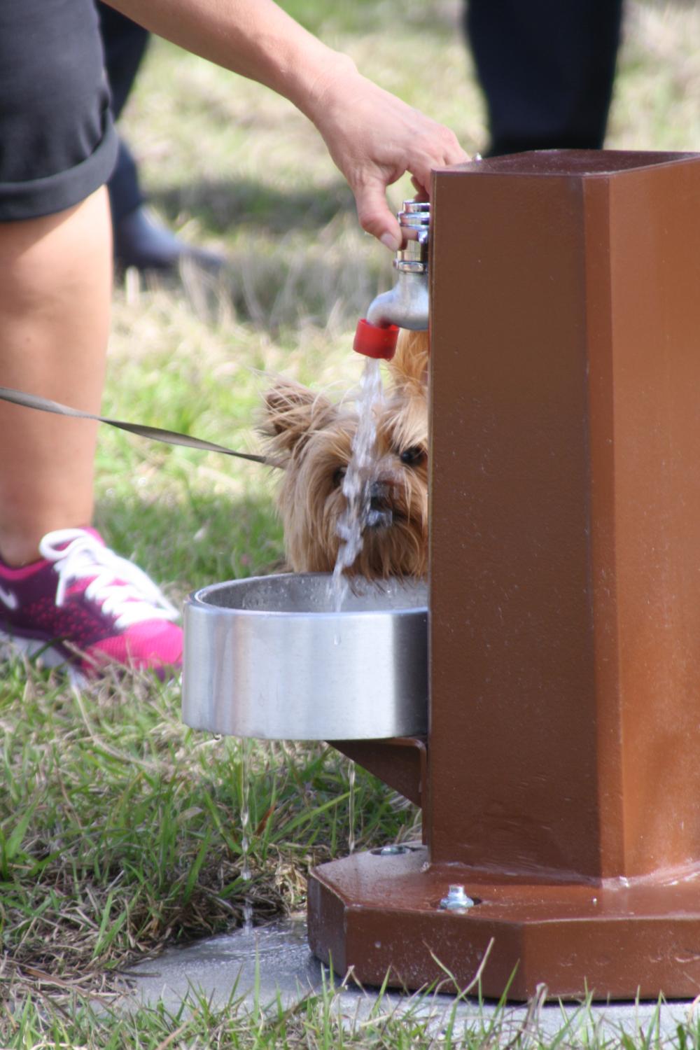 Naples Dog Park | Naples, FL